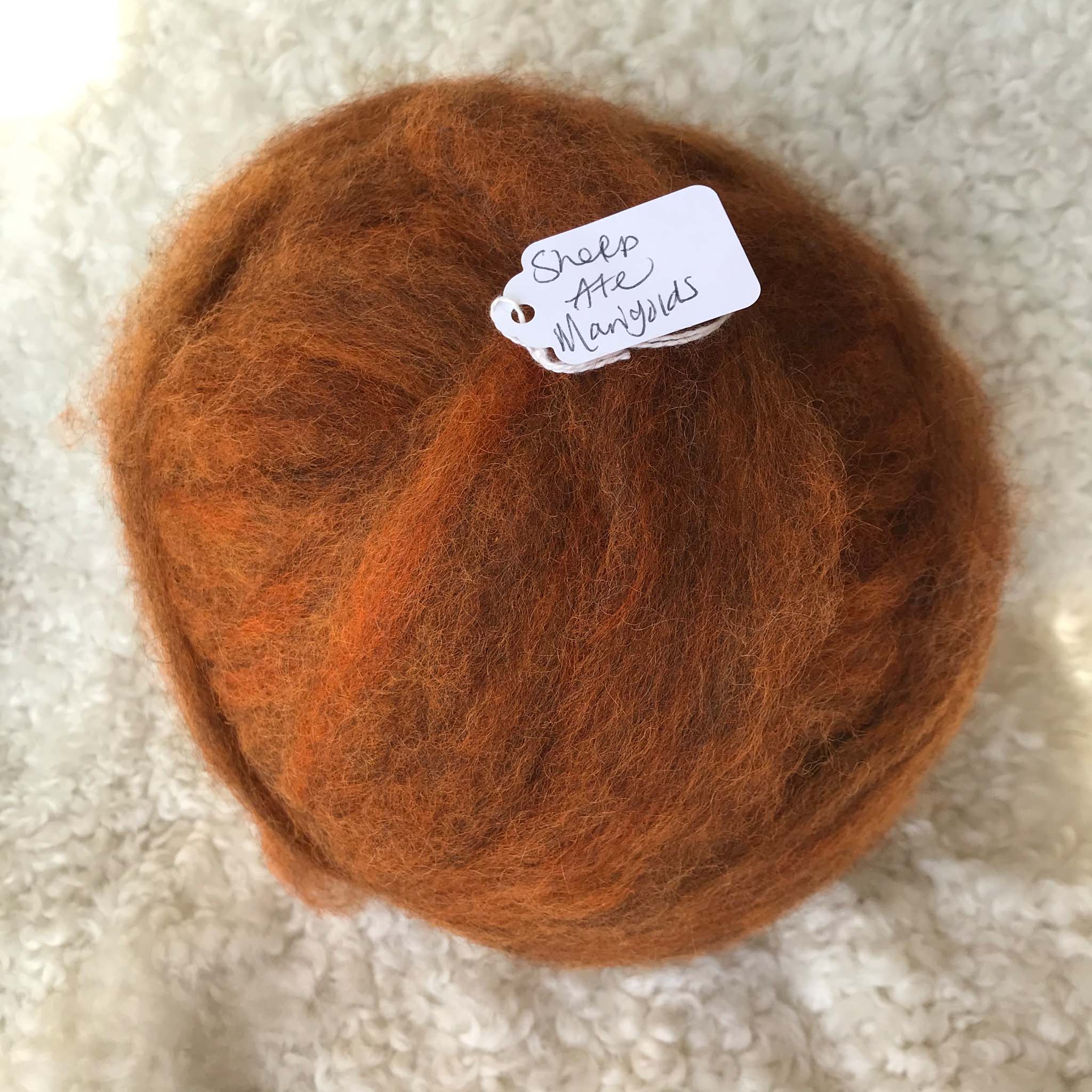 Sheep Ate Marigold | Wool Roving | Woolen Mill | Wisconsin – Hidden ...